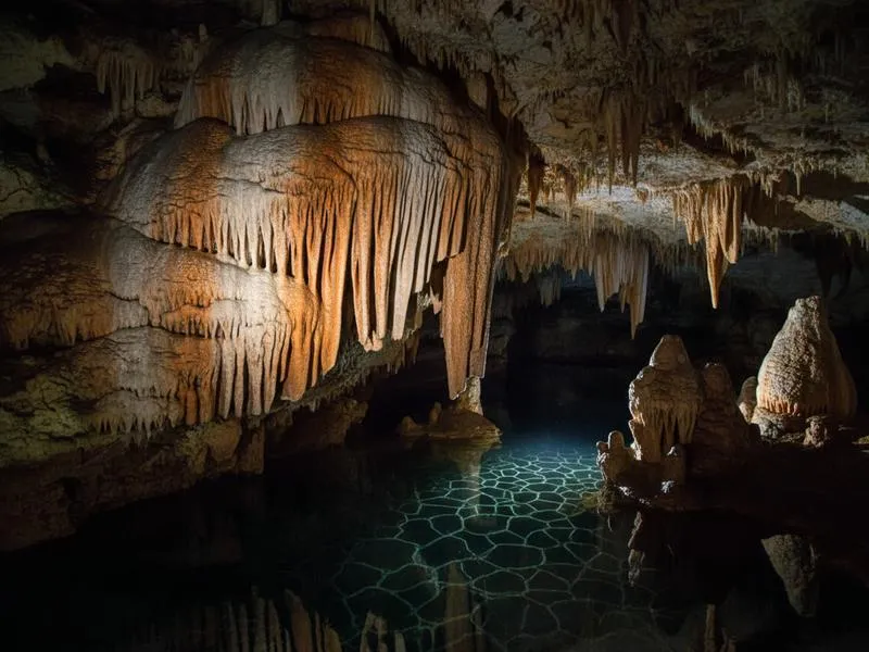 Best Cenotes in the Riviera Maya 2026: 20 Swimming Holes Ranked