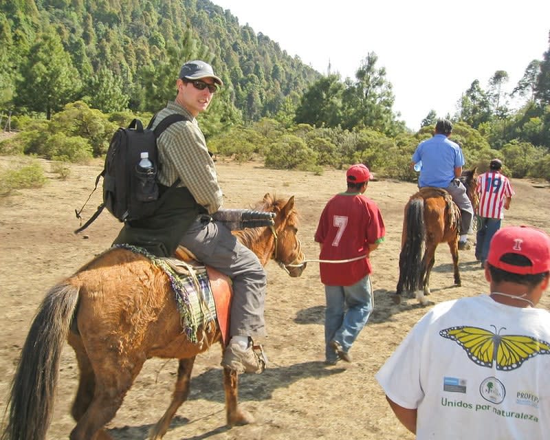 Chasing Monarchs: A Guide to Mexico’s Best Butterfly Sanctuaries