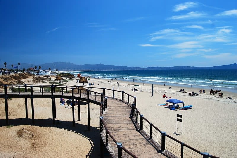 Ensenada 2026: Wine Route, La Bufadora & Seafood