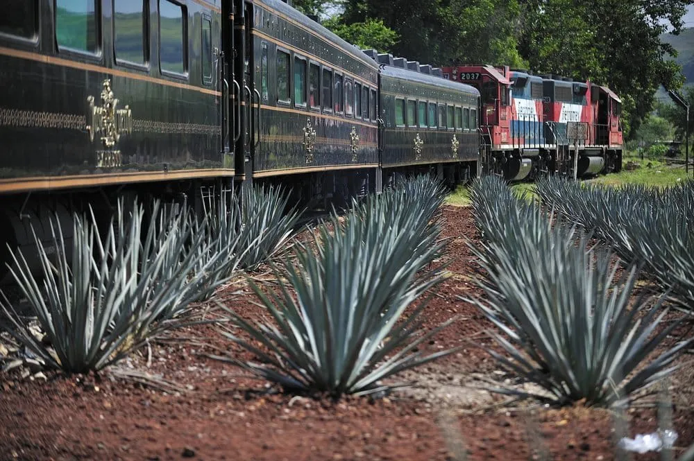Guadalajara Travel Guide: Food, Tequila & 3-Day Plan