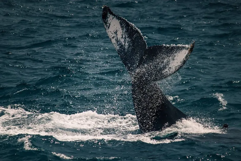 Cabo San Lucas in May: Weather, Beaches & Value