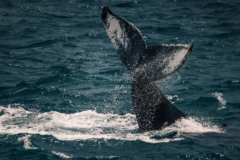 Cabo San Lucas in April: Weather, Beaches & Tips