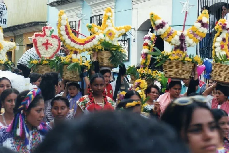 Oaxaca State Guide 2026: City, Coast & Sierra Norte