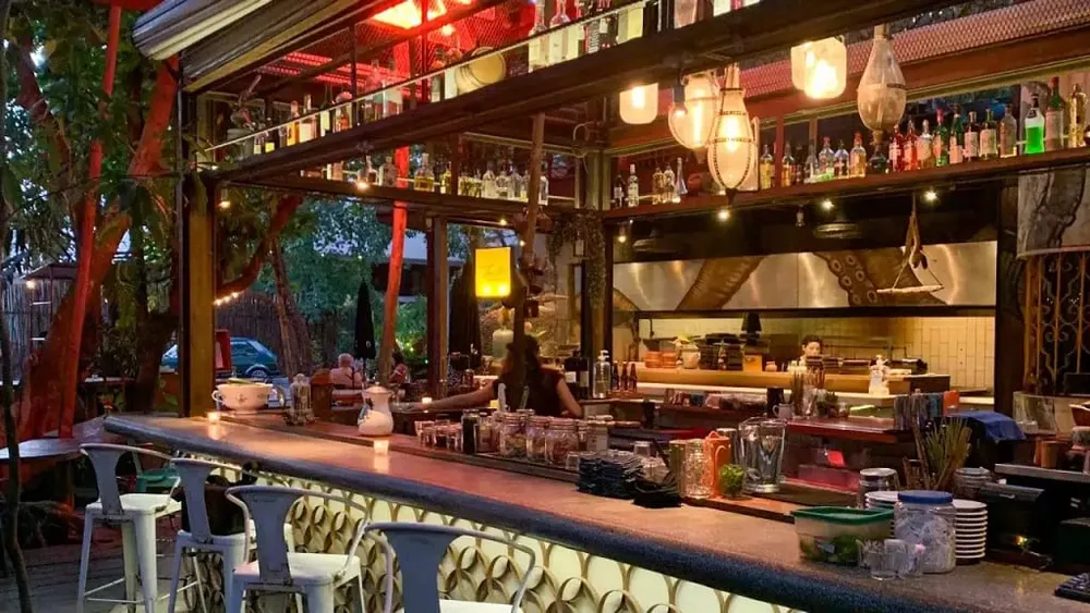 Playa del Carmen Travel Guide 2026: Where to Stay, Best Beaches ...