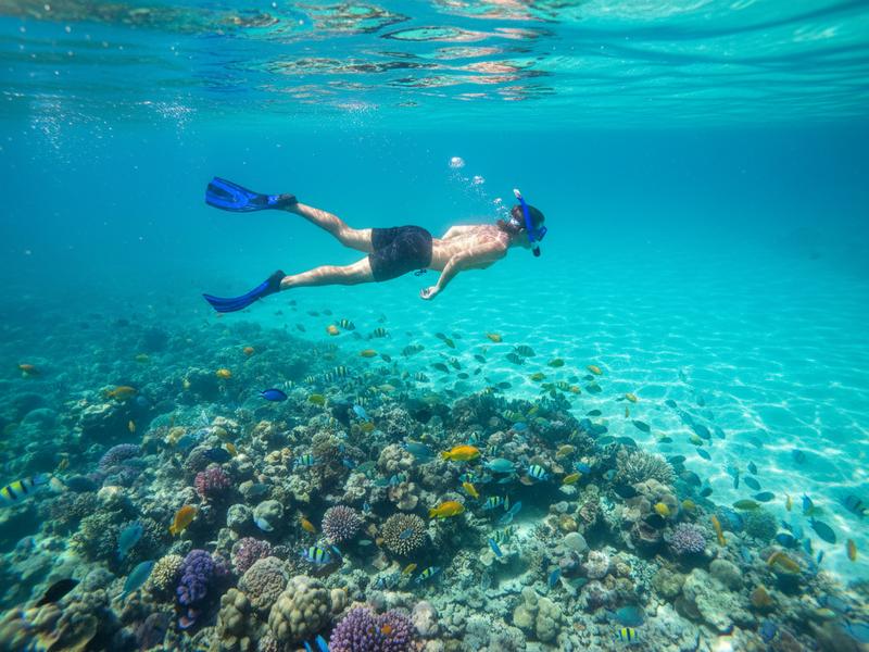 Playa del Carmen to Cozumel Ferry 2026: Prices, Times & Everything You Need