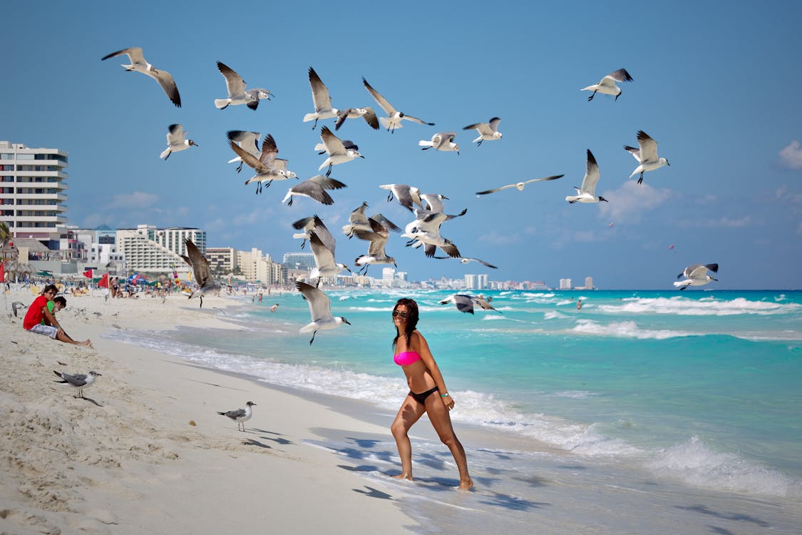 Cancun Nightlife 2026: Best Clubs, Bars & the Honest Party Guide