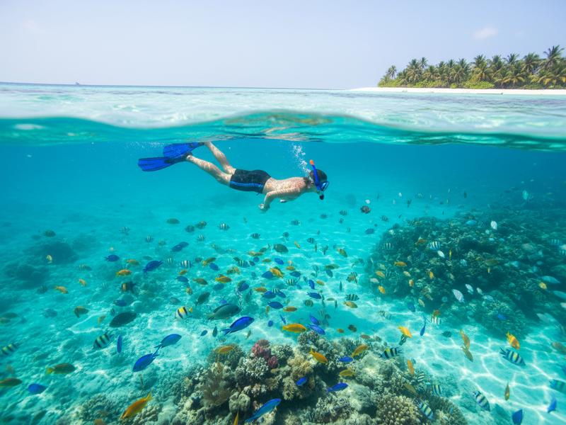 Cozumel Travel Guide: Diving, Snorkeling & Island Life (2026)